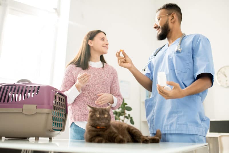 The Stress-Free Way to Medicate Your Cat - Just Cats Clinic